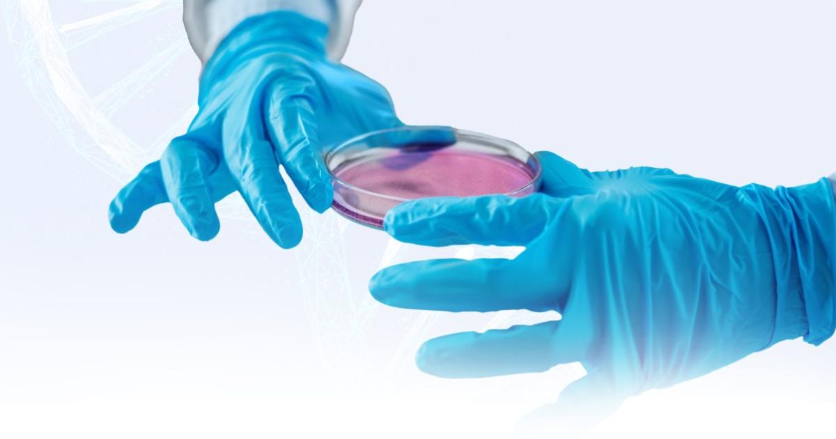 Our Certifications | ST Biotech